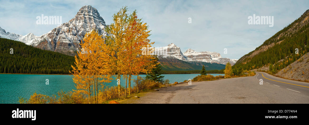 Canada Banff National Park Panorama Aspen trees mountain along ...
