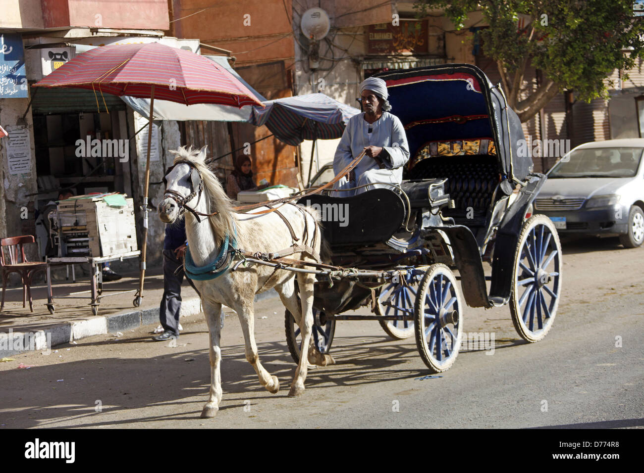White egyptian horse carriage edfu hi-res stock photography and images ...