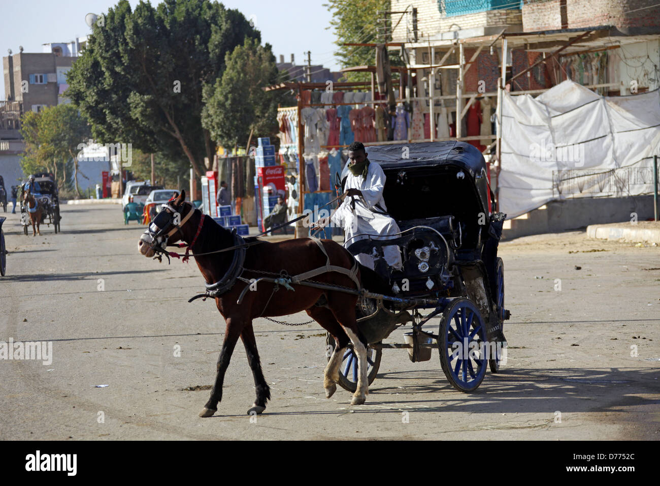 Egyptian horse carriage edfu egypt hi-res stock photography and images ...