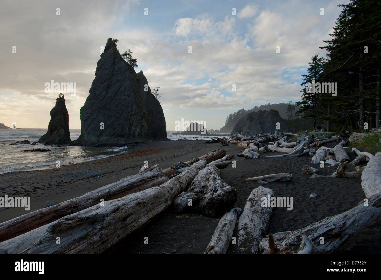 USA Washington Sea stacks at Rialto Beach in Olympic National Park ...