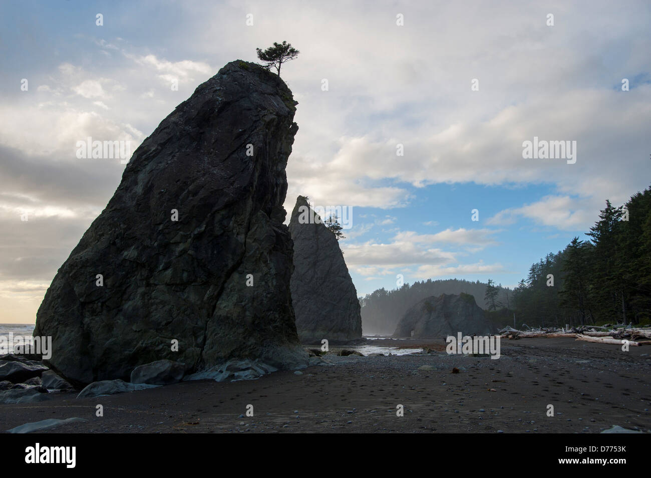 USA Washington Sea stacks at Rialto Beach in Olympic National Park ...