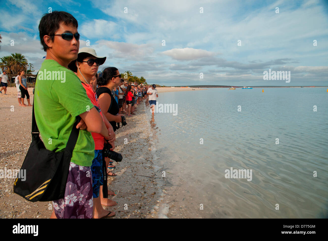 Monkey Mia Dolphin Resort High Resolution Stock Photography and Images ...