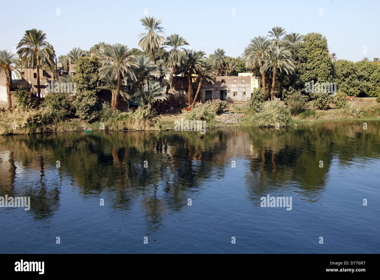 Nile River Palm Trees High Resolution Stock Photography and Images - Alamy
