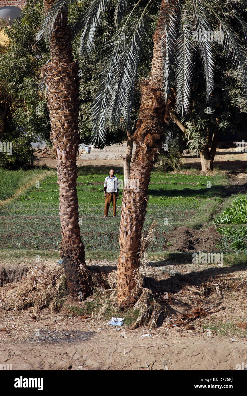 Man between trees hi-res stock photography and images - Alamy