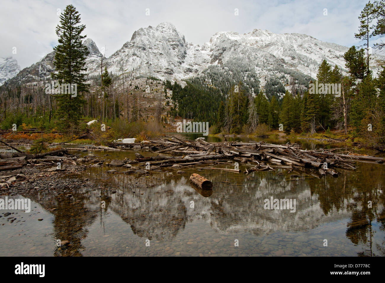 Wood logs floating on water hi-res stock photography and images - Alamy