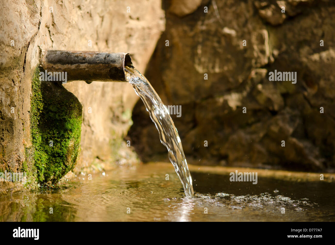 Water well in forest Stock Photo - Alamy
