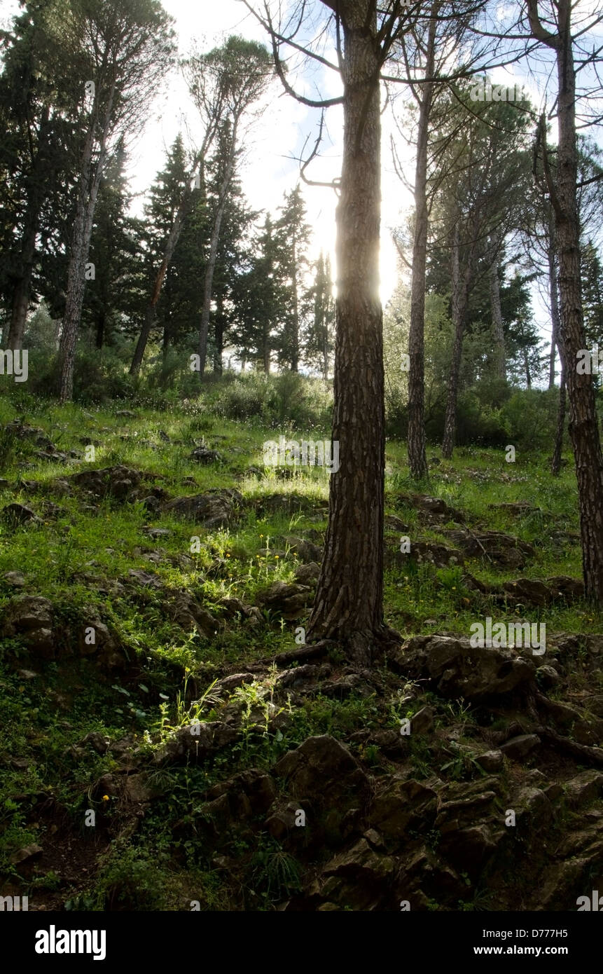 Rainy sunshine hi-res stock photography and images - Alamy