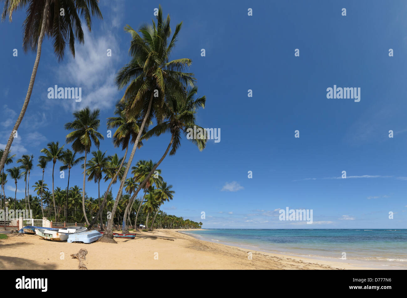 Las Terrenas, Dominican Republic, fishing boats and palm trees on the ...