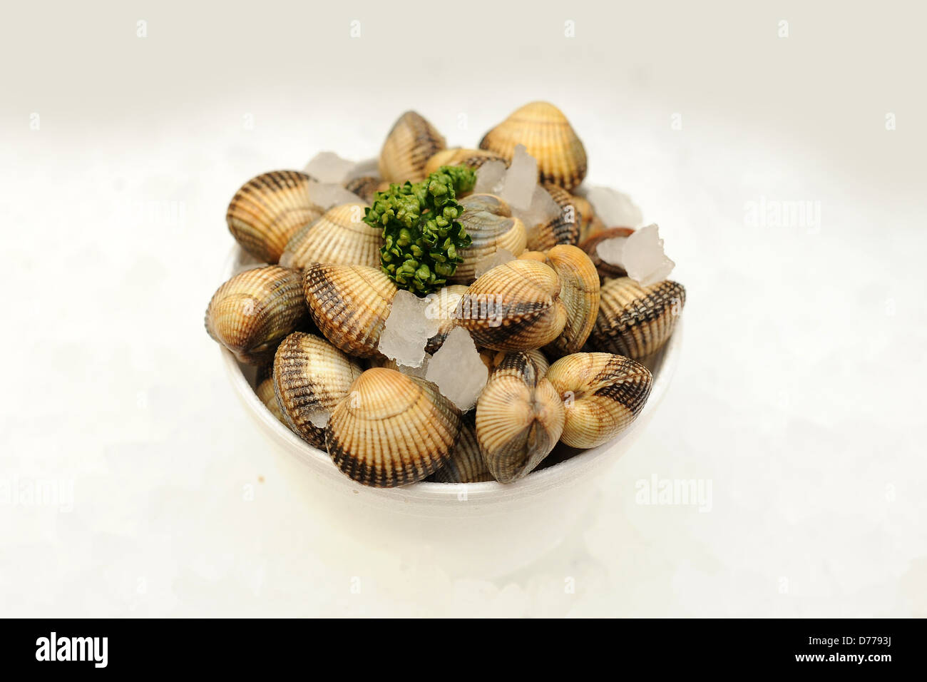 Cockles hi-res stock photography and images - Alamy