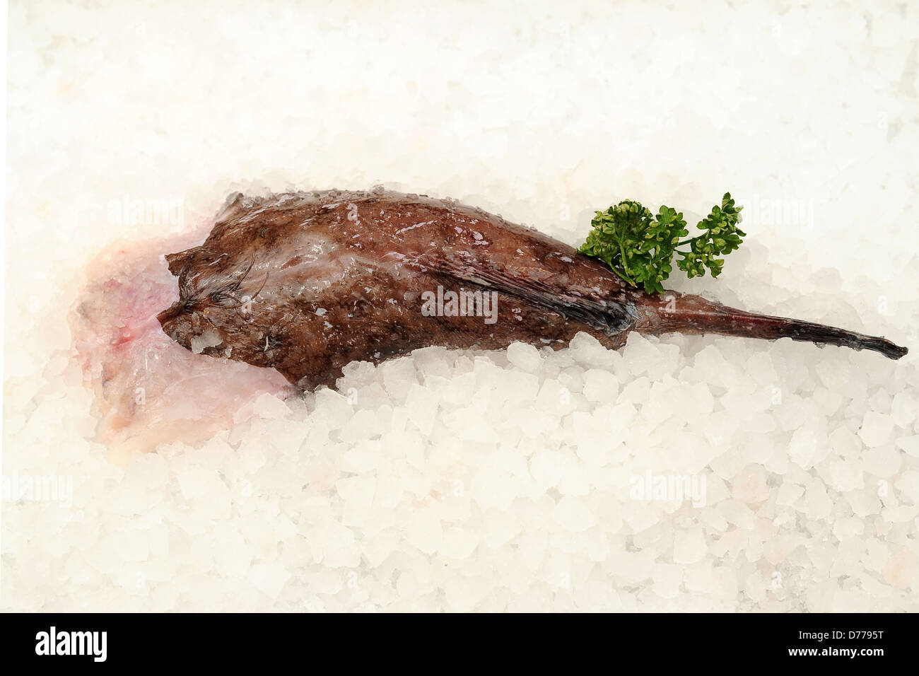 Monkfish hi-res stock photography and images - Alamy