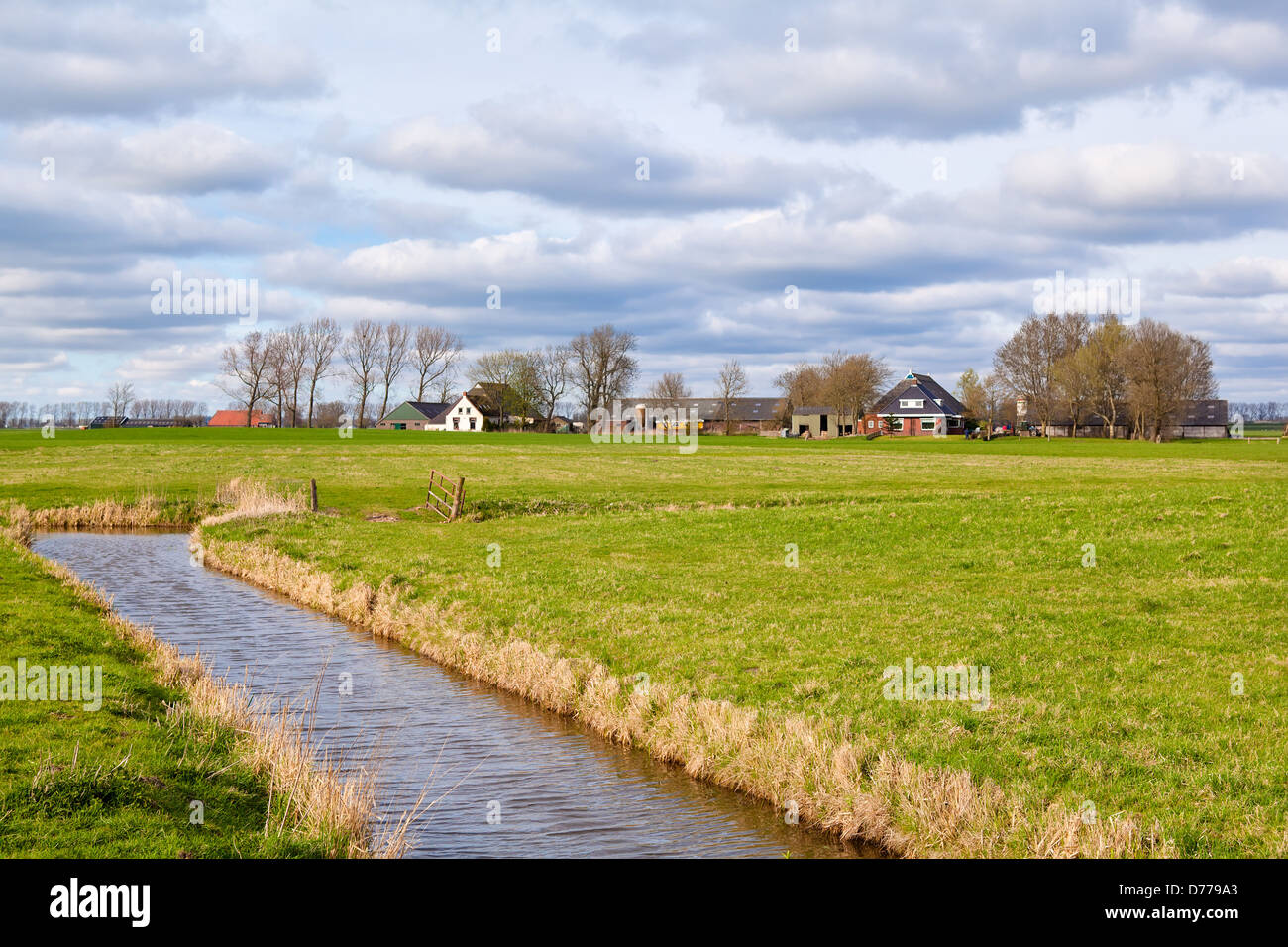 typical dutch farmland with canal, Holland Stock Photo - Alamy