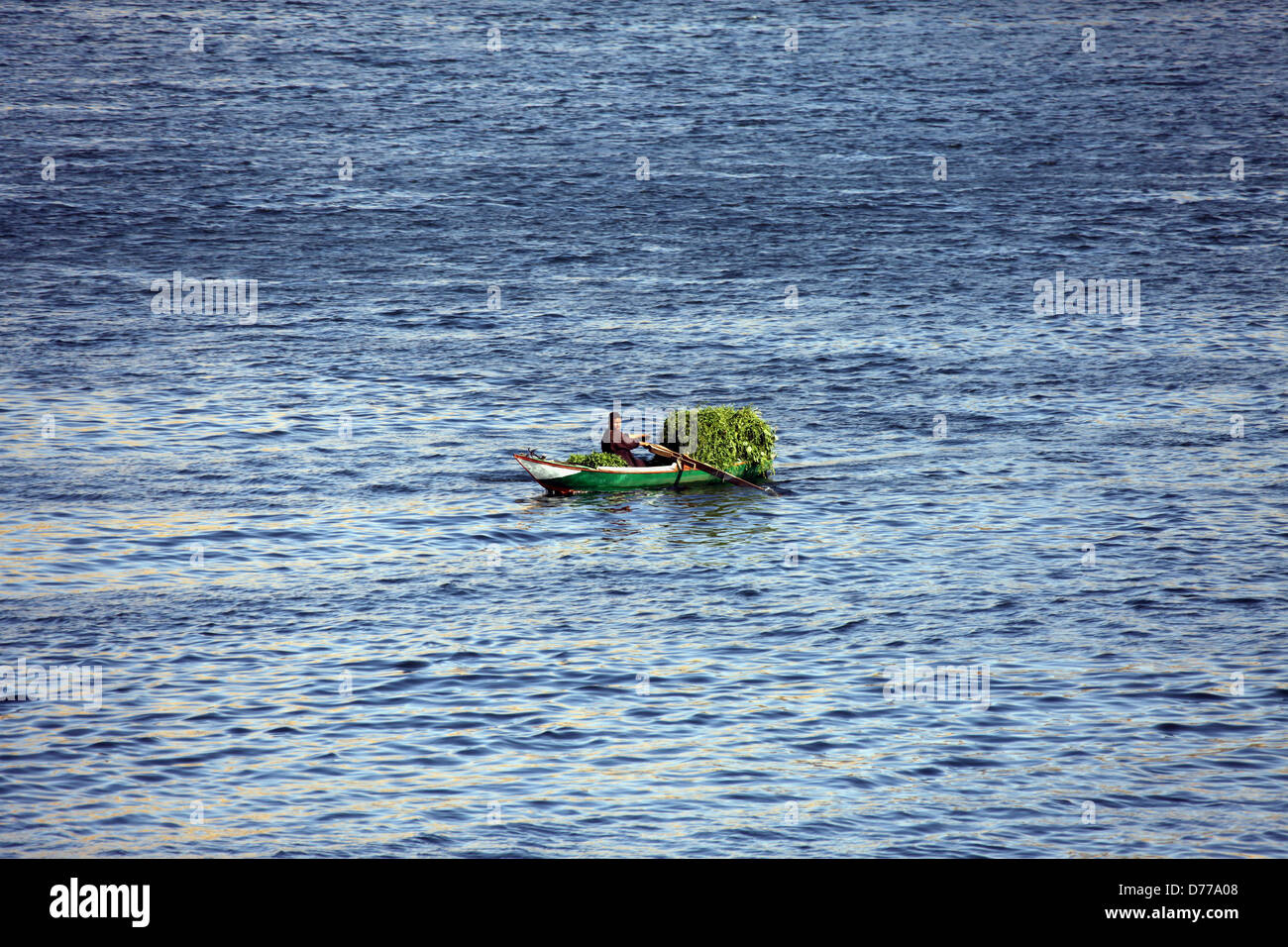 Green rowing boat hi-res stock photography and images - Alamy