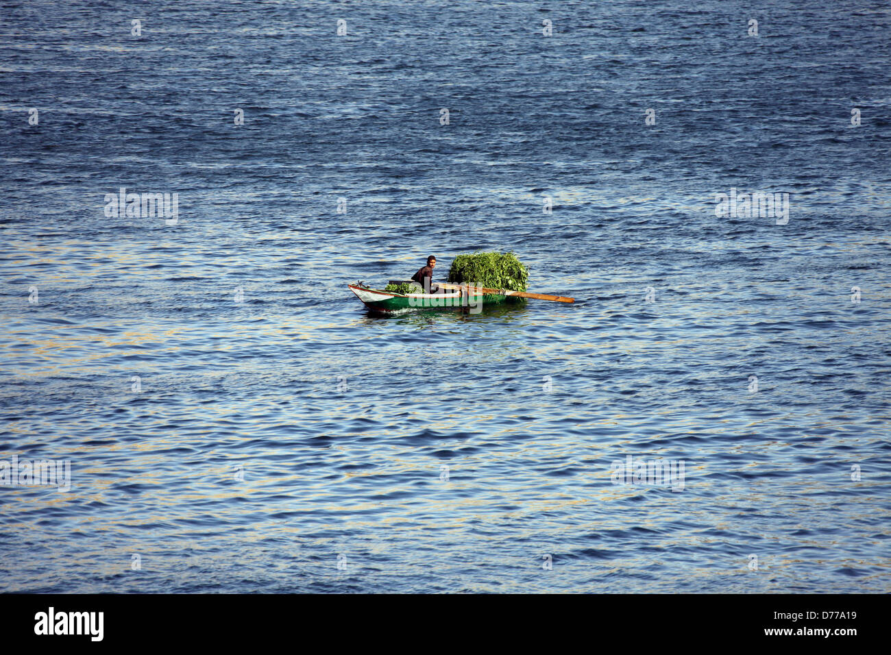 EGYPTIAN MAN IN GREEN ROWING BOAT & GRASS RIVER NILE EGYPT 09 January ...