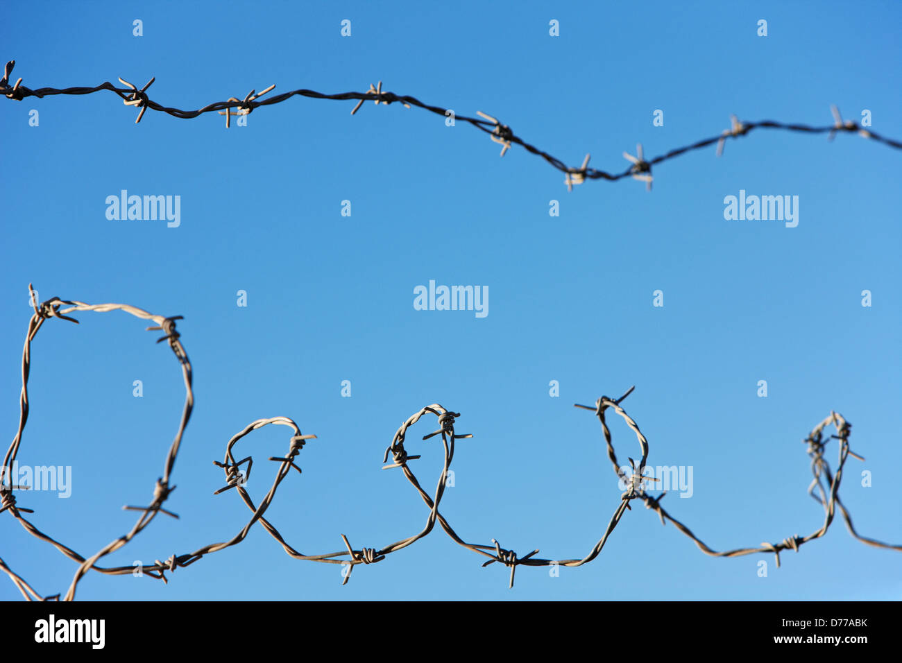 Detail Barbed Wire at U.S. Marine Corps Forward Operating Base in ...