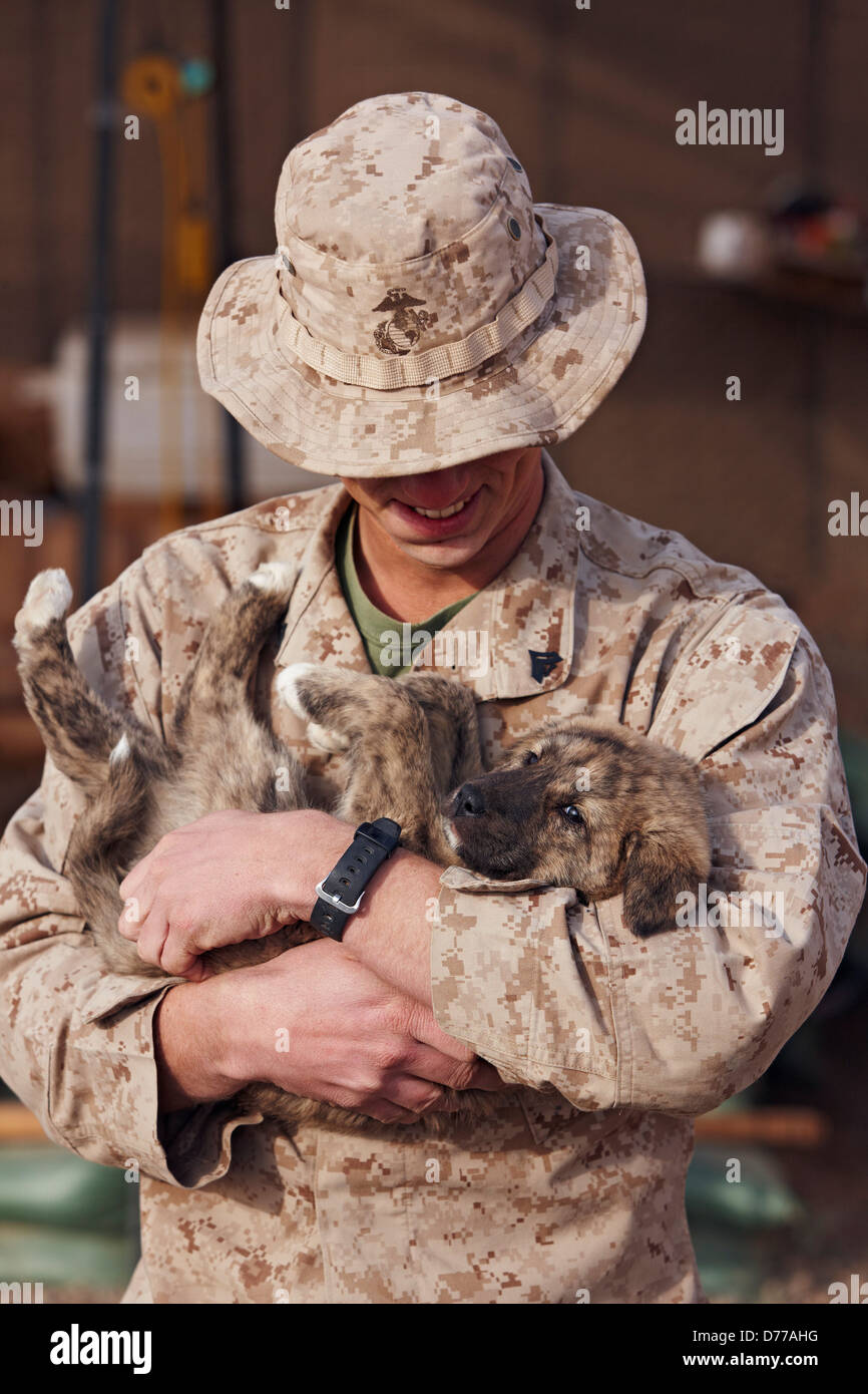 A U.S. Marine Cradles Stray Puppy at Small Combat Outpost in ...