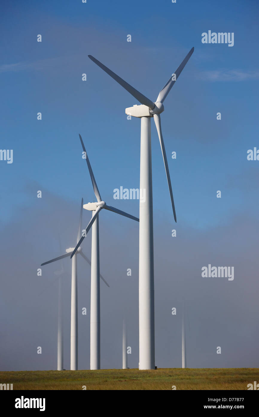 Wind Turbines Shrouded By Cloud Stock Photo - Alamy