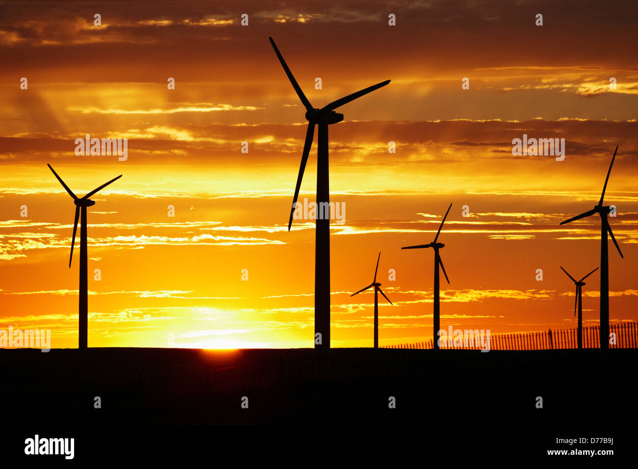 Wind Turbines at Sunset Stock Photo - Alamy