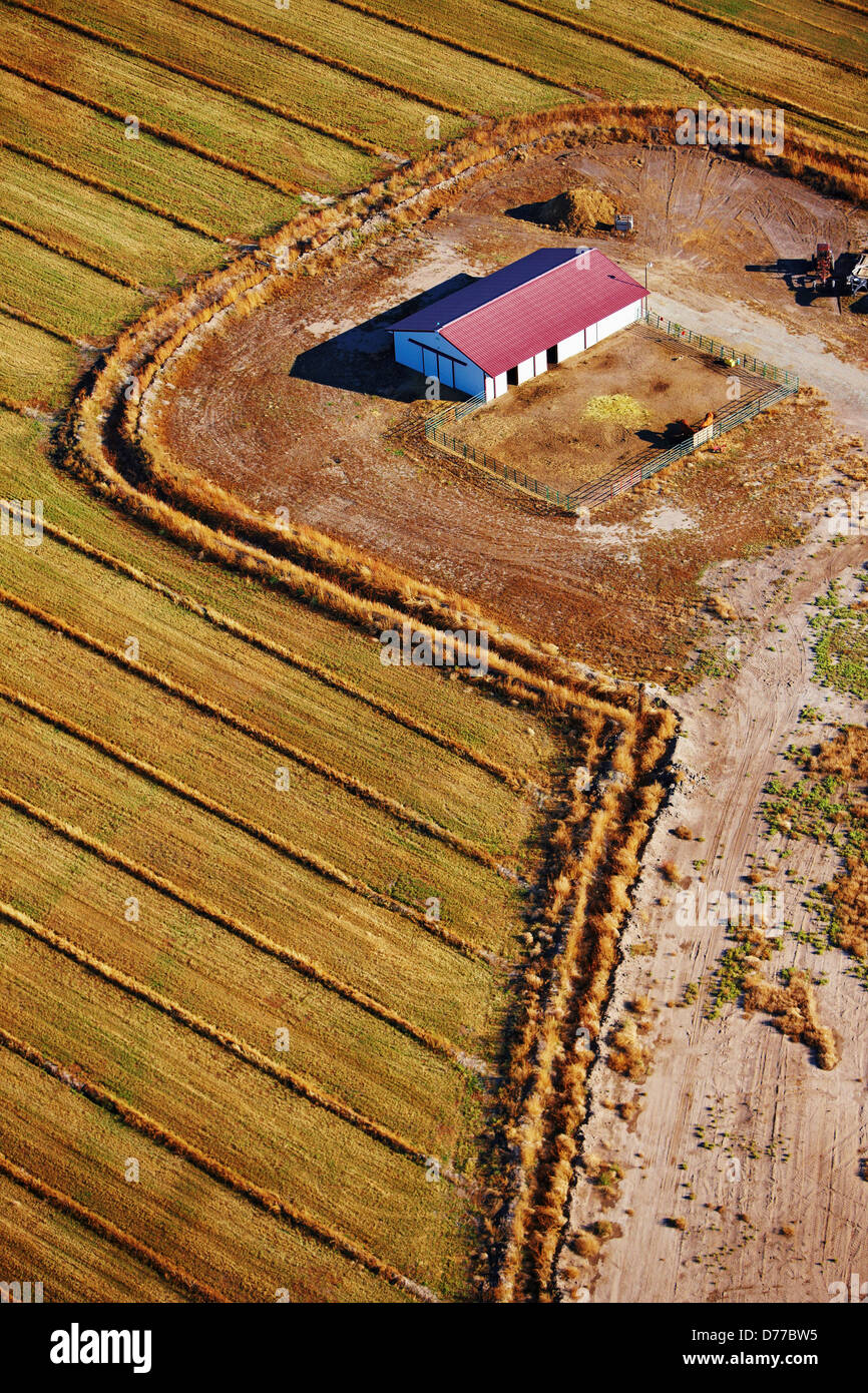 Aerial View Farm House Surrounded by Field Stock Photo - Alamy