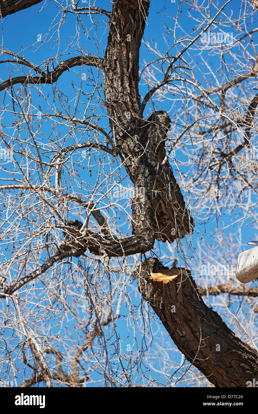 Severed limb hi-res stock photography and images - Alamy