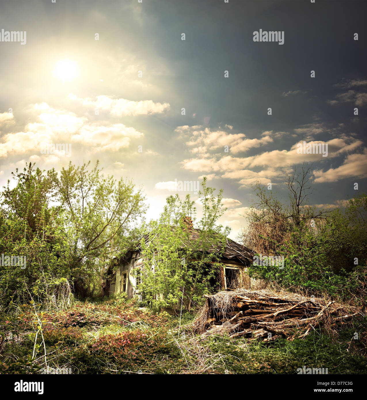 Old collapsed house in the woods at evening Stock Photo - Alamy