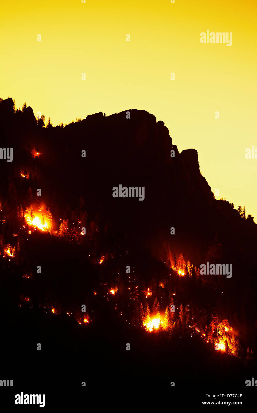 Night View Wildfire Stock Photo - Alamy