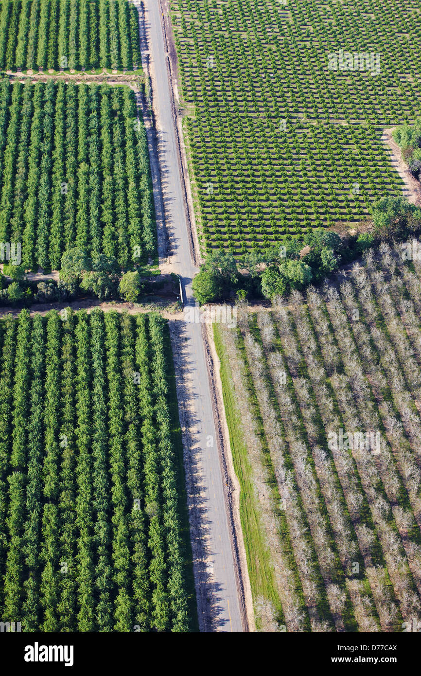 Orchard corridor hi-res stock photography and images - Alamy