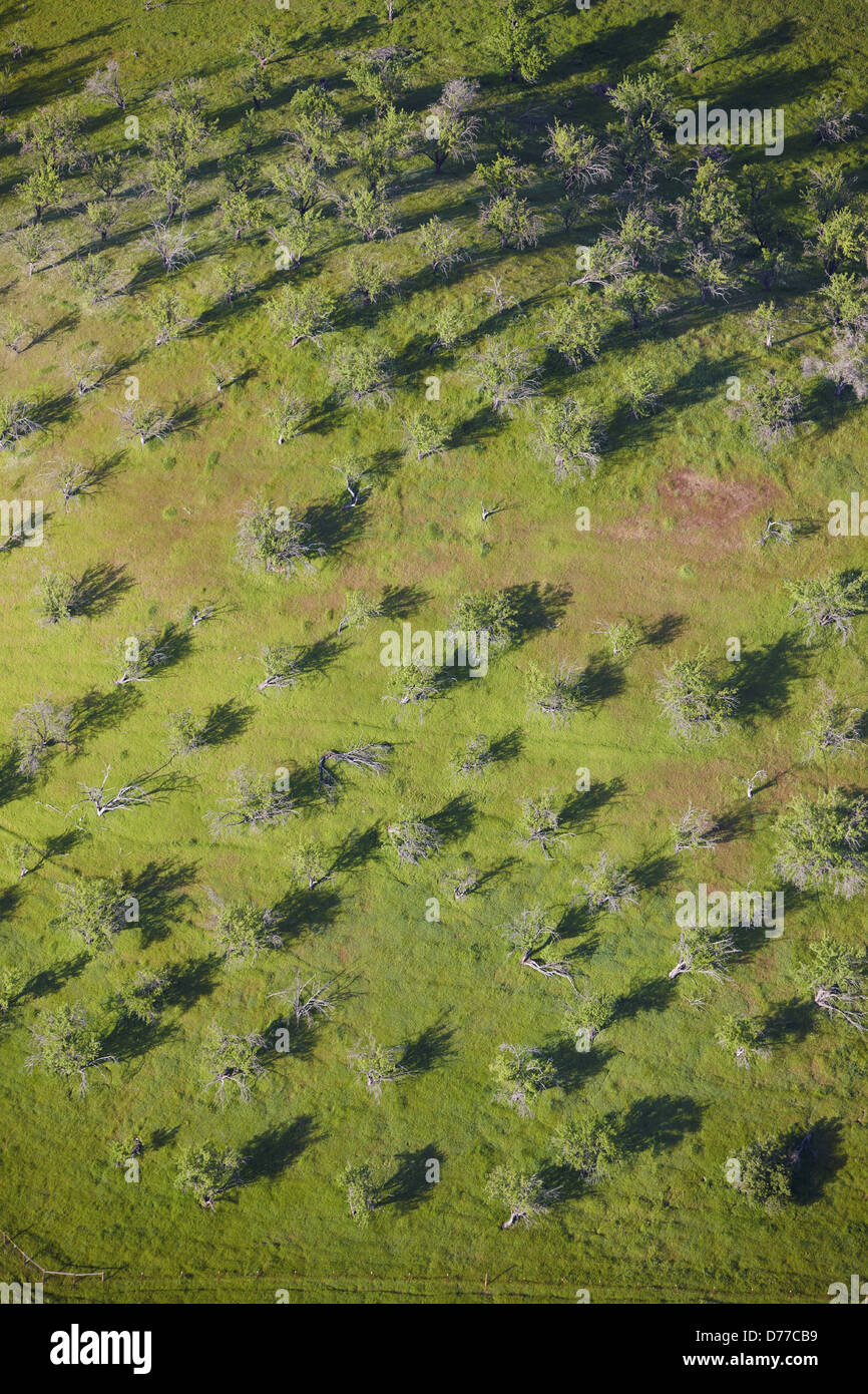 Hillside life hi-res stock photography and images - Alamy