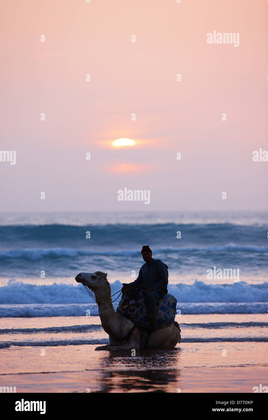 Rider and camel hi-res stock photography and images - Alamy