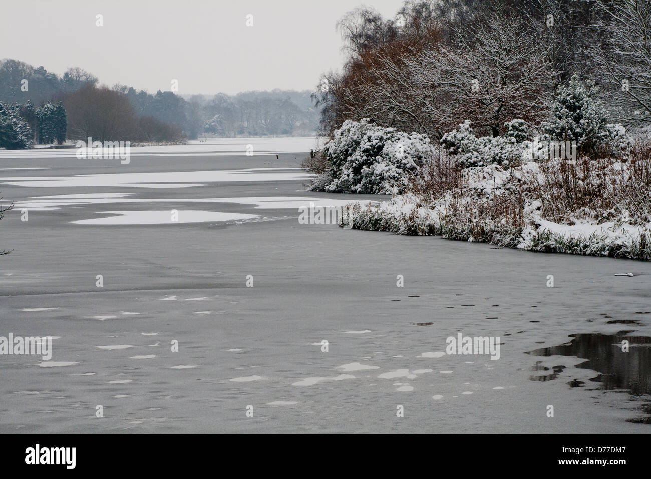 Clumber Park lake in winter Stock Photo - Alamy