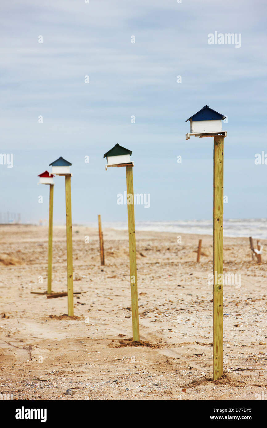 Bird houses atop pilings in sand Holly Beach Louisiana USA Stock Photo ...
