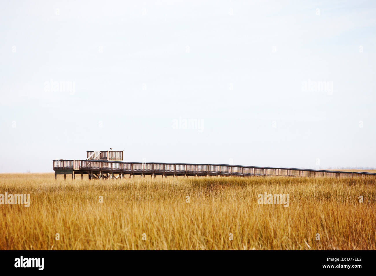Nature walkway over marsh Sabine National Wildlife Refuge Cameron ...