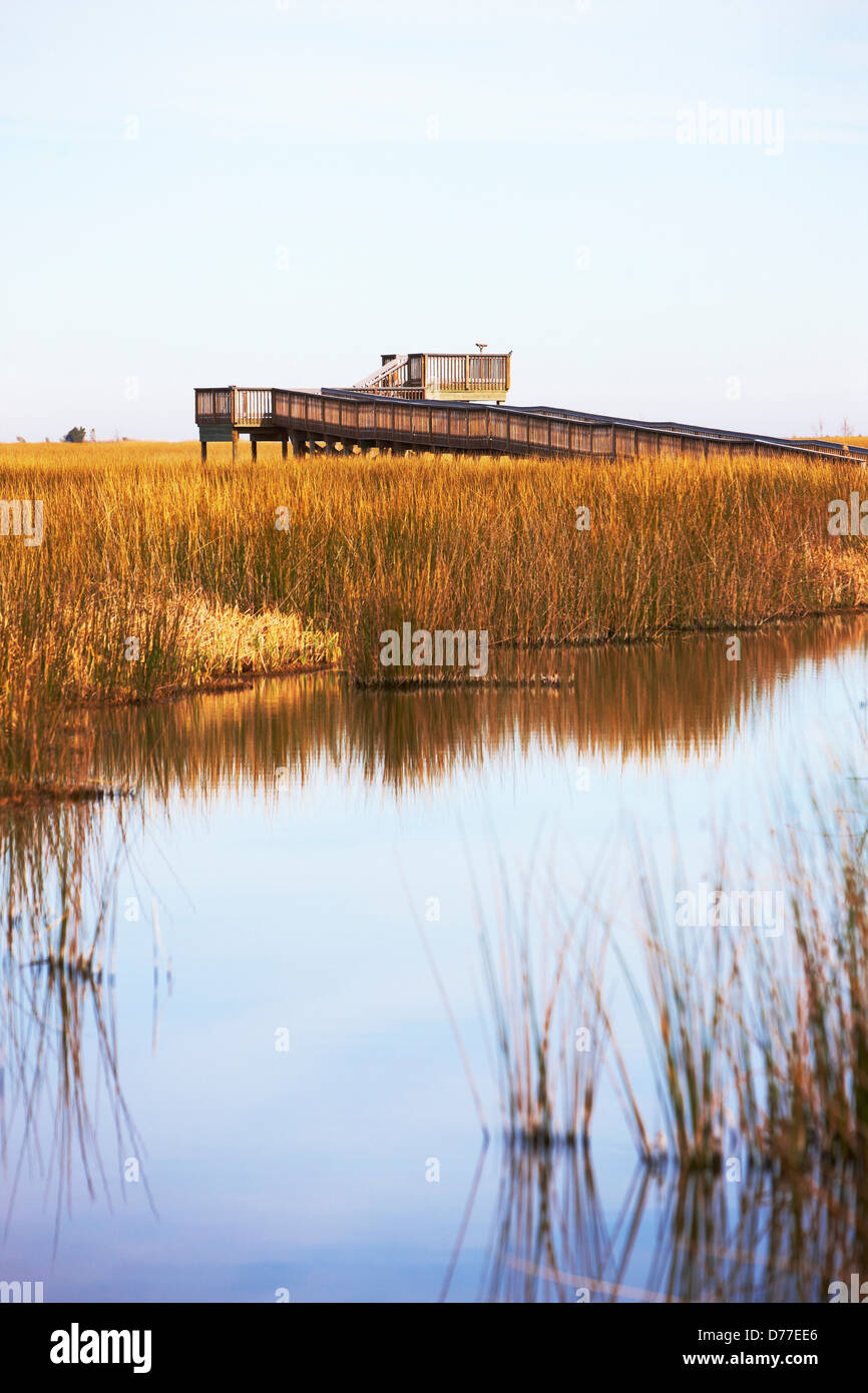 Nature walkway over marsh Sabine National Wildlife Refuge Cameron ...