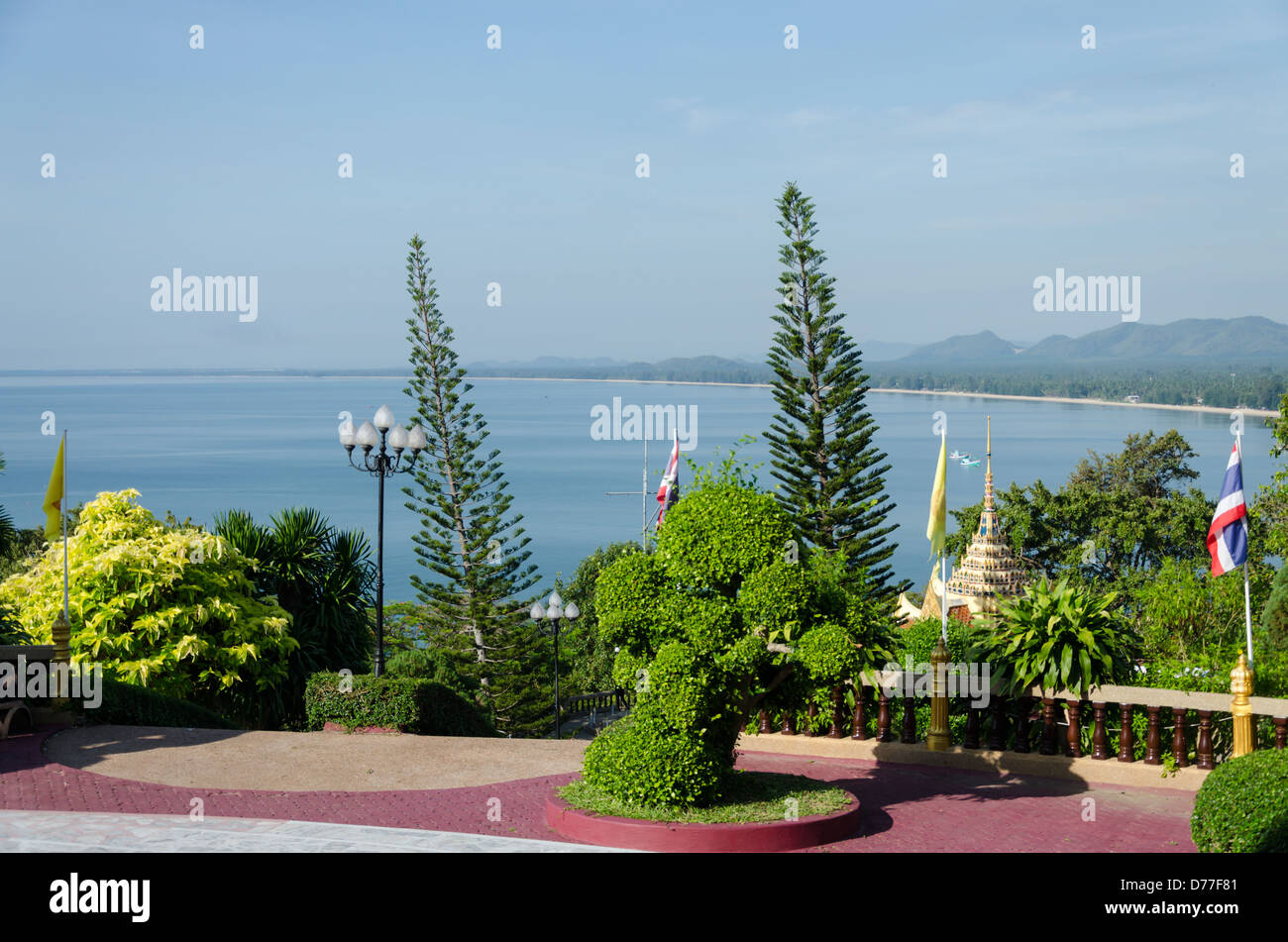 Norfolk pine trees at Wat Tang Sai on Khao Tong Chai Mountain with ...