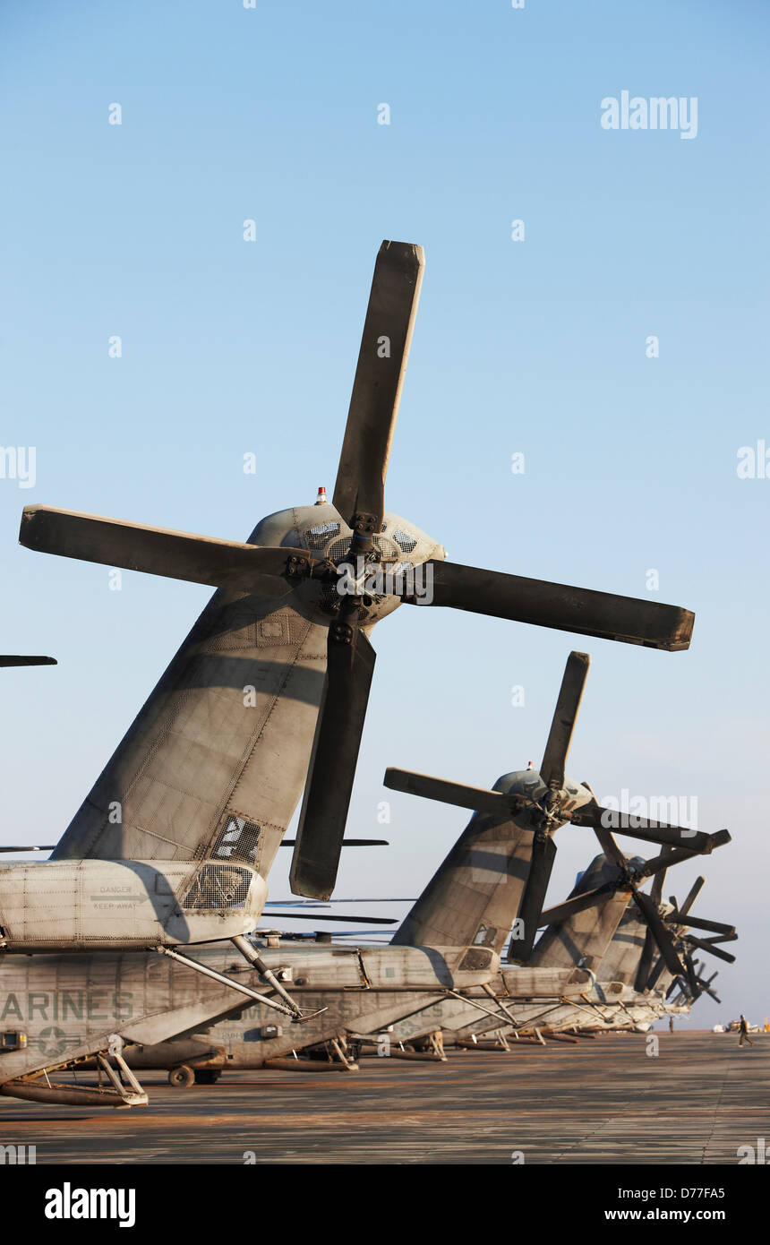 Heavy tail hi-res stock photography and images - Alamy