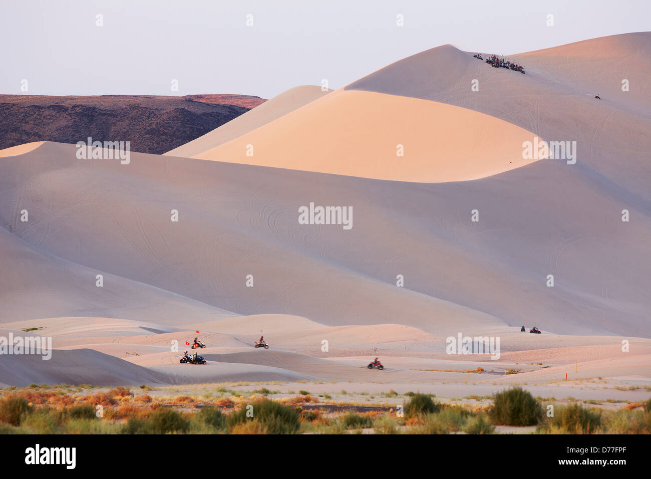 USA Nevada Off Road Vehicles traverse Sand Mountain dune field east ...