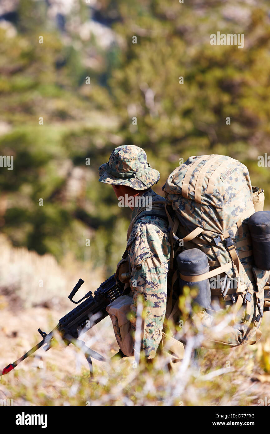 United states army training corps hi-res stock photography and images ...