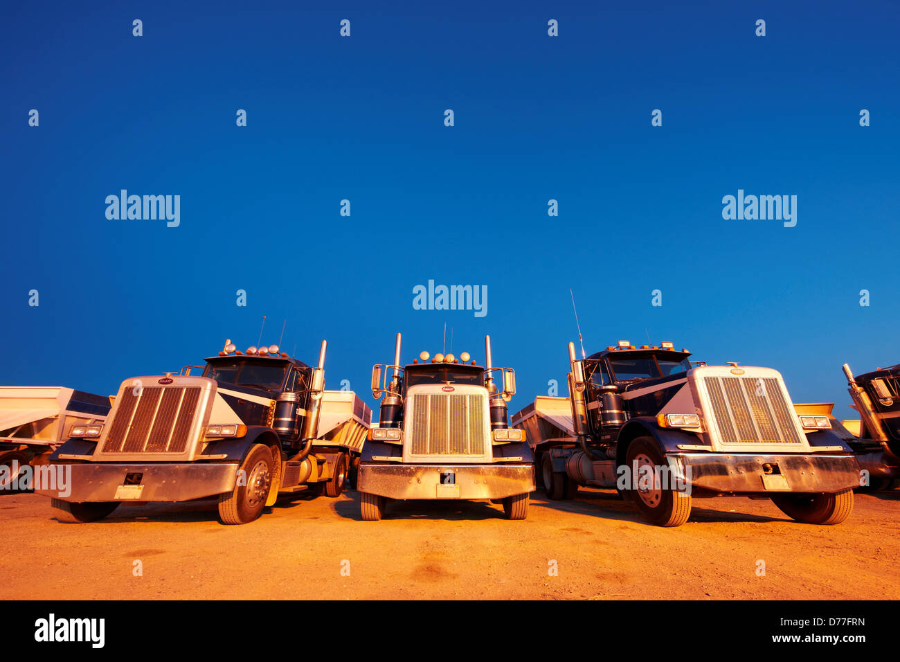 Big-Rig tractors standing in row at night Stock Photo - Alamy