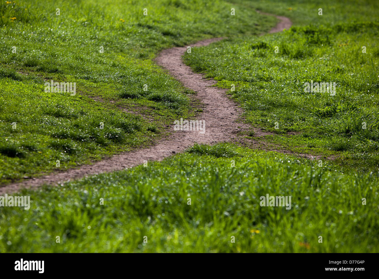 Grass pathway hi-res stock photography and images - Alamy