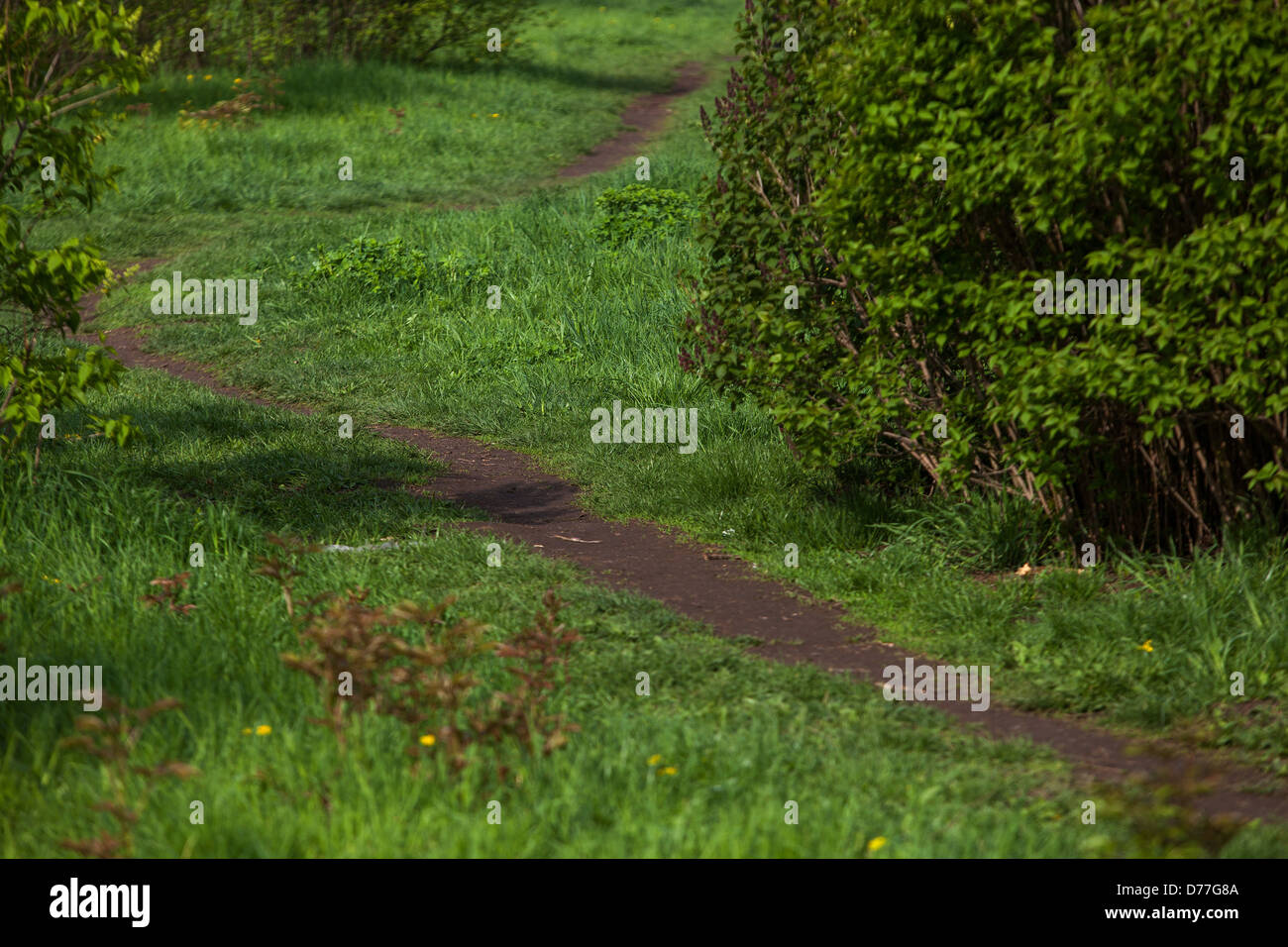 Path pathway footpath lane hi-res stock photography and images - Alamy