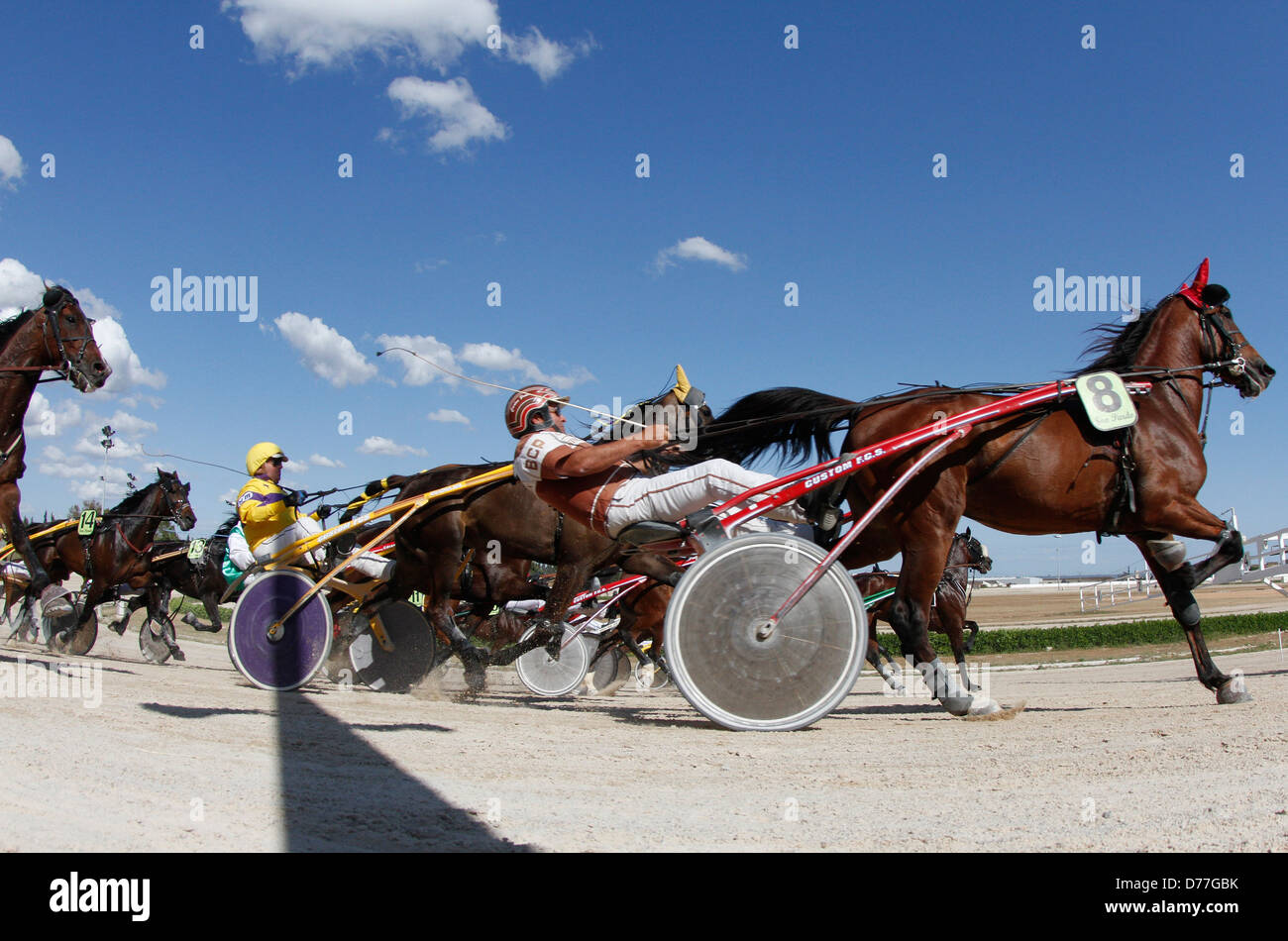 Horse harness hi-res stock photography and images - Alamy