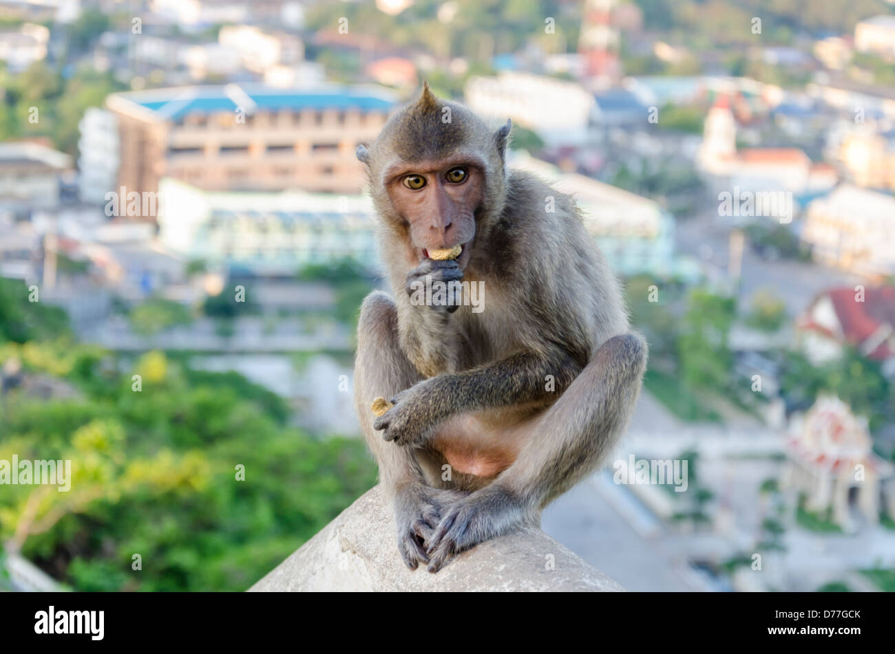 Wat khao chong krajok hi-res stock photography and images - Alamy