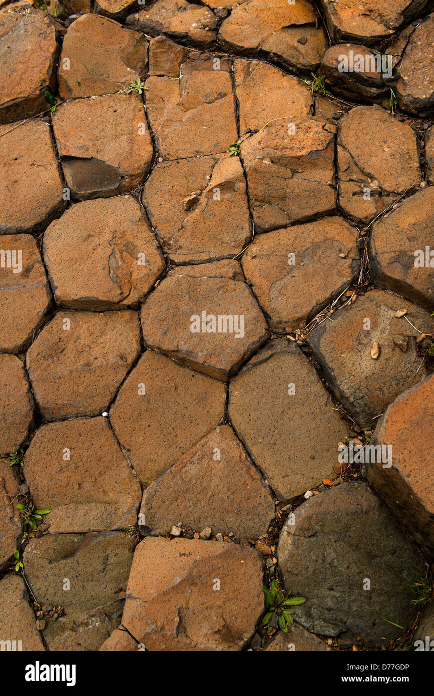 Basalt that has cooled into columns at Ruined Castle near Falls Creek ...