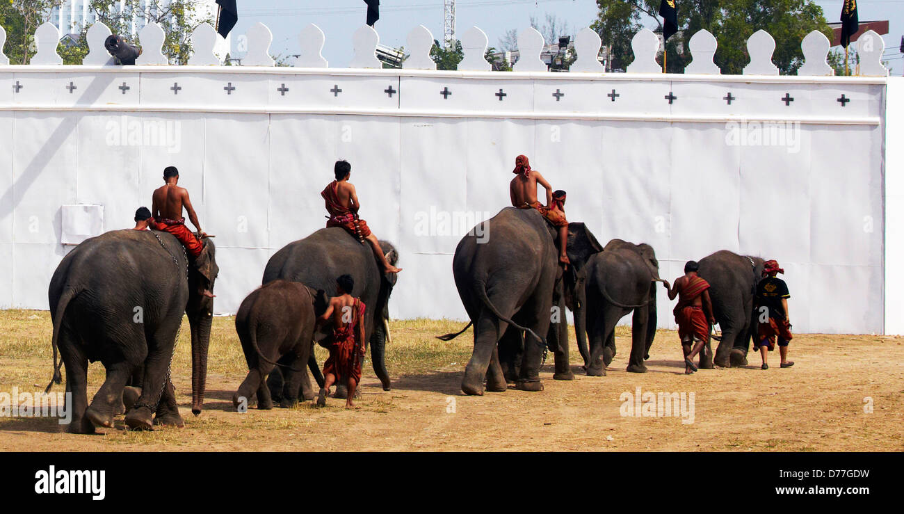 Elephant grouping hi-res stock photography and images - Alamy