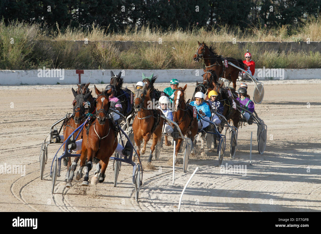 Riders compete during a horse harness race in Palma de Mallorca´s ...