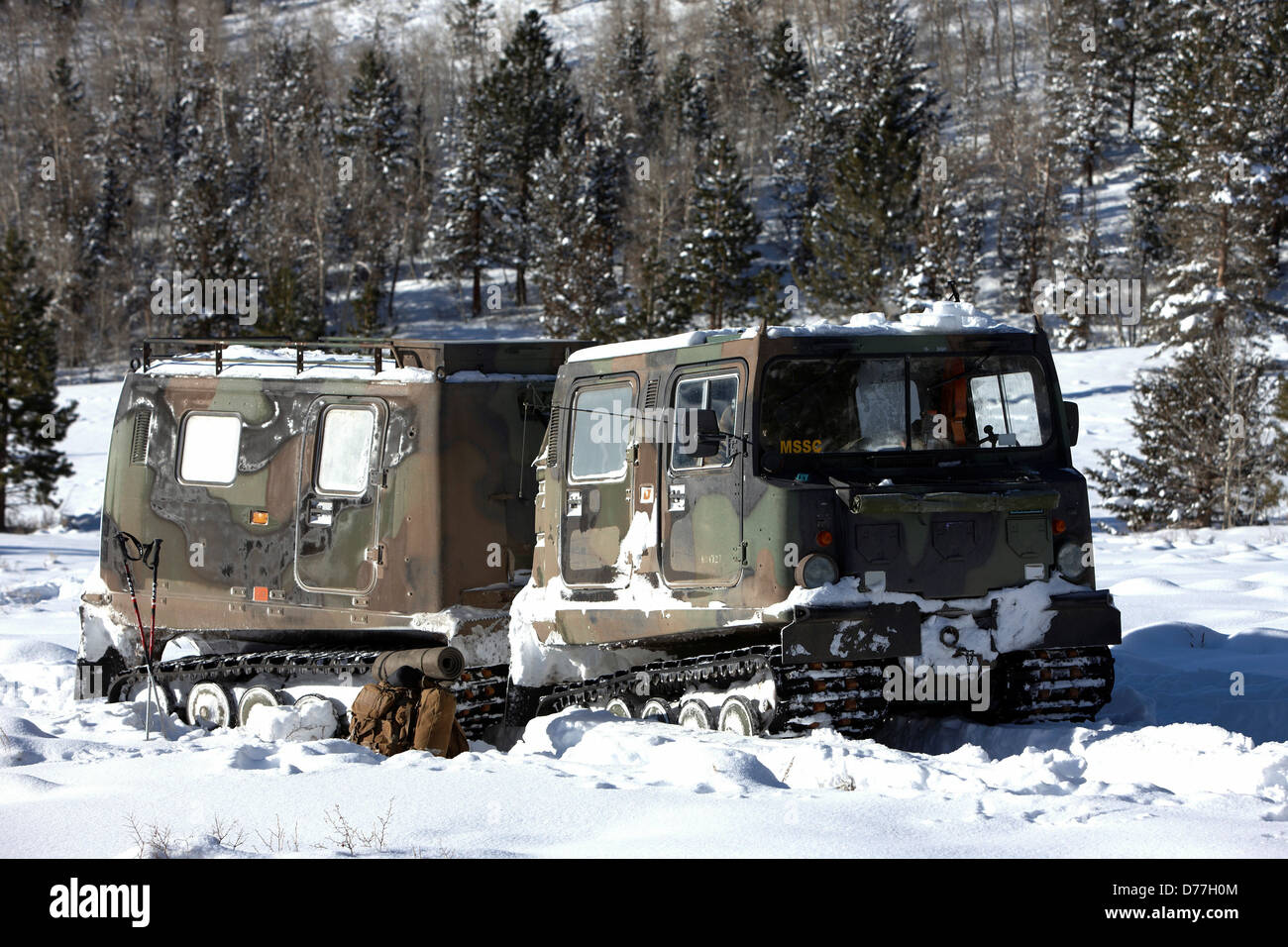 USA California Bandvagn 206 tracked articulated all-terrain carrier ...