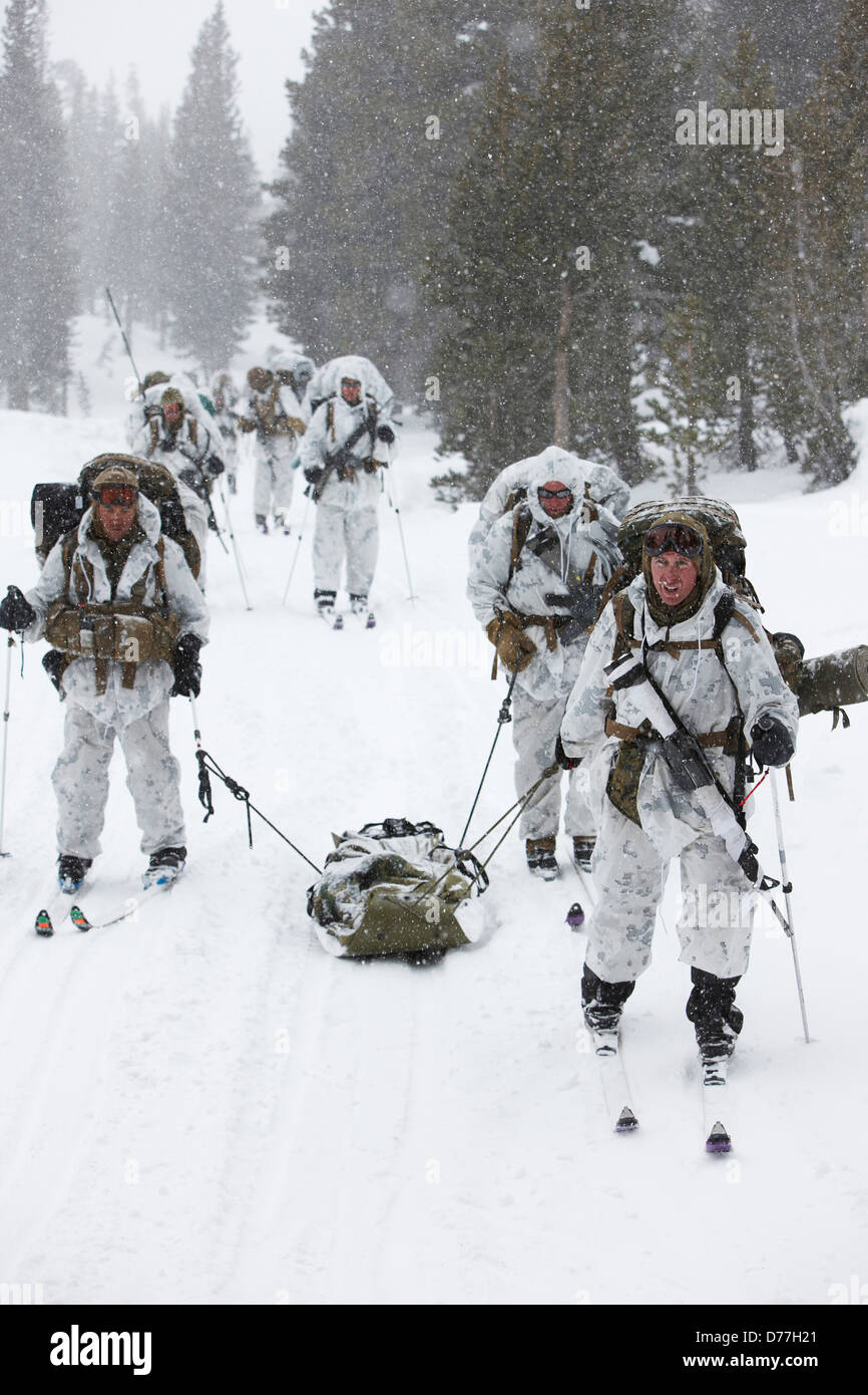 USA California US Marine Sniper Skiing cross country pulling mock ...