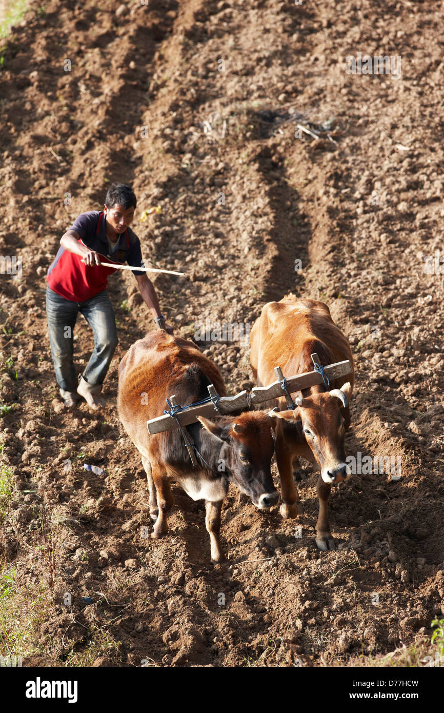 Plough man hi-res stock photography and images - Alamy
