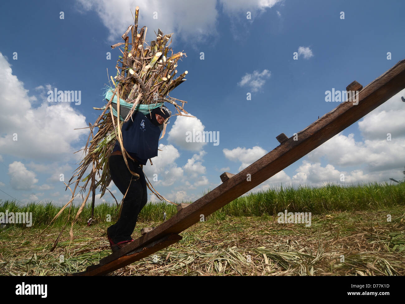 Filipino farmer hi-res stock photography and images - Alamy
