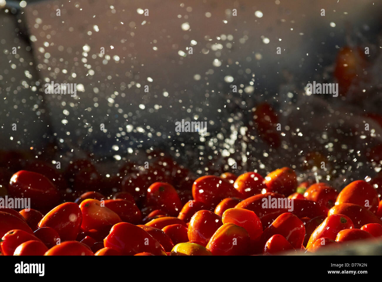 Tomato processing plant california hi-res stock photography and images ...