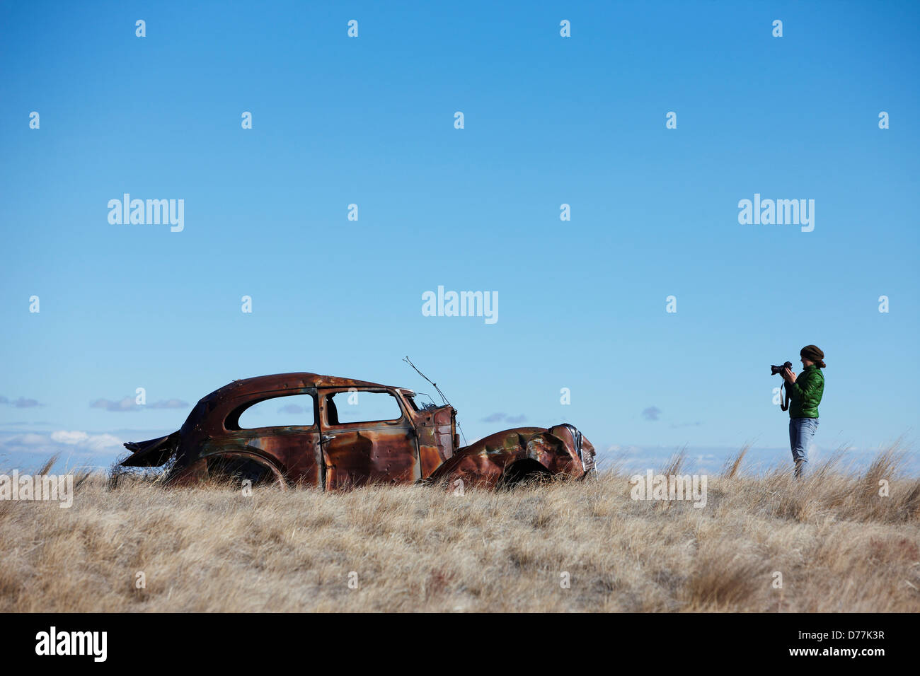 USA Colorado Woman photographing rusted remnants abandoned car Stock ...